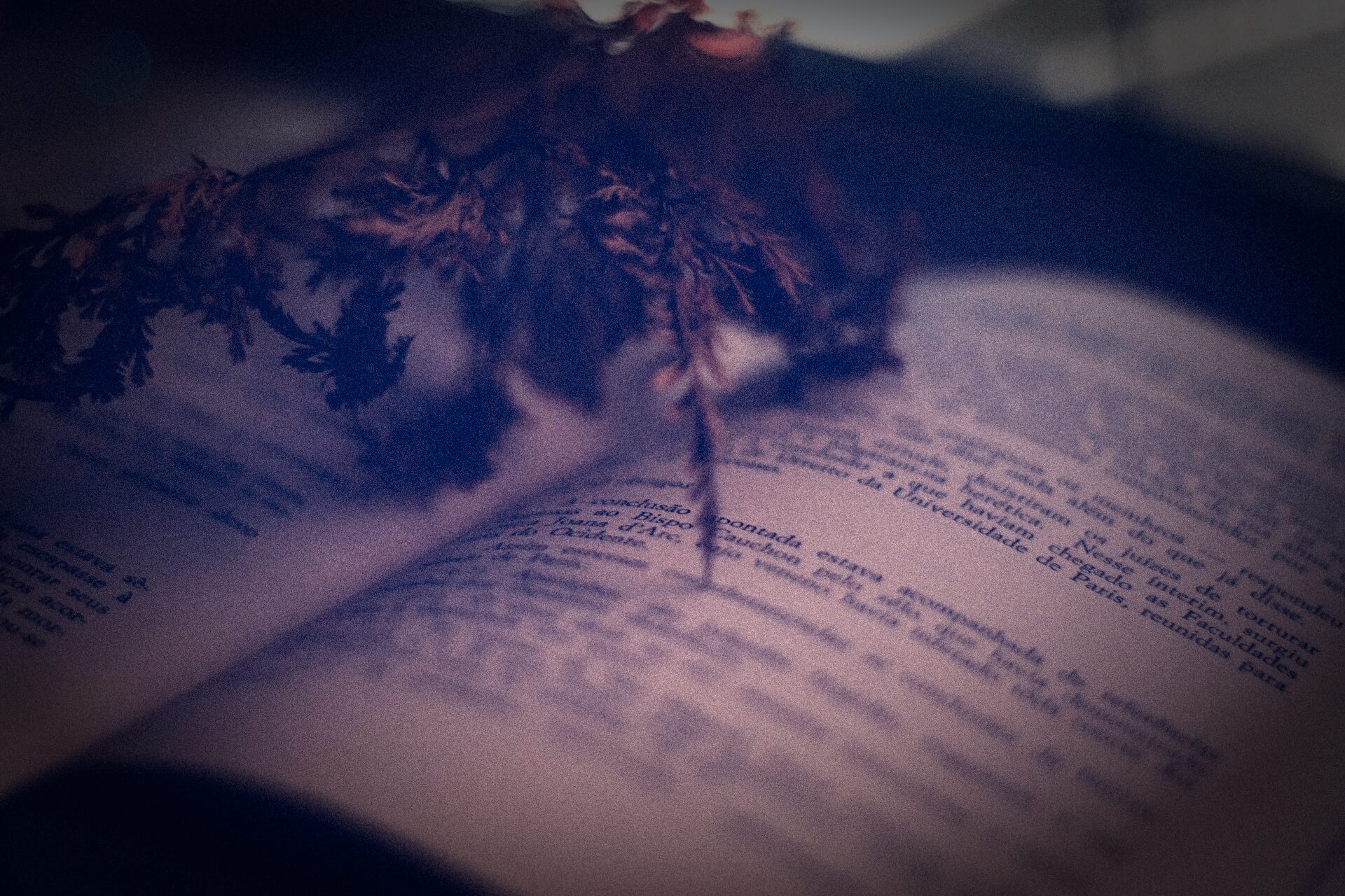 La Elegía y sus Características